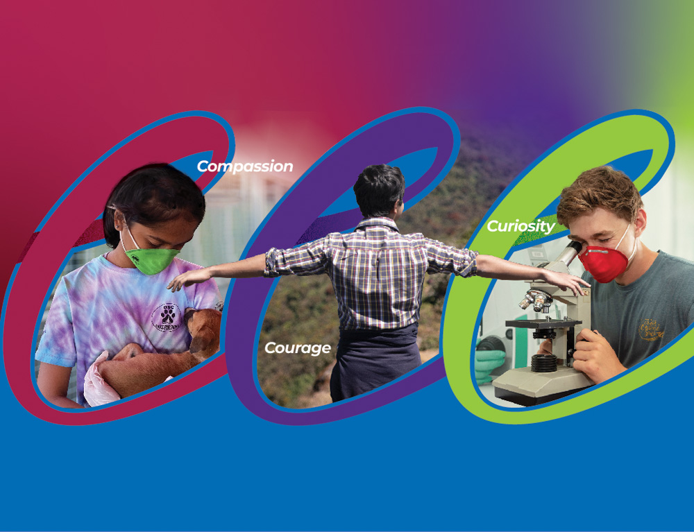 The Overseas School of Colombo – IB World Schools Yearbook